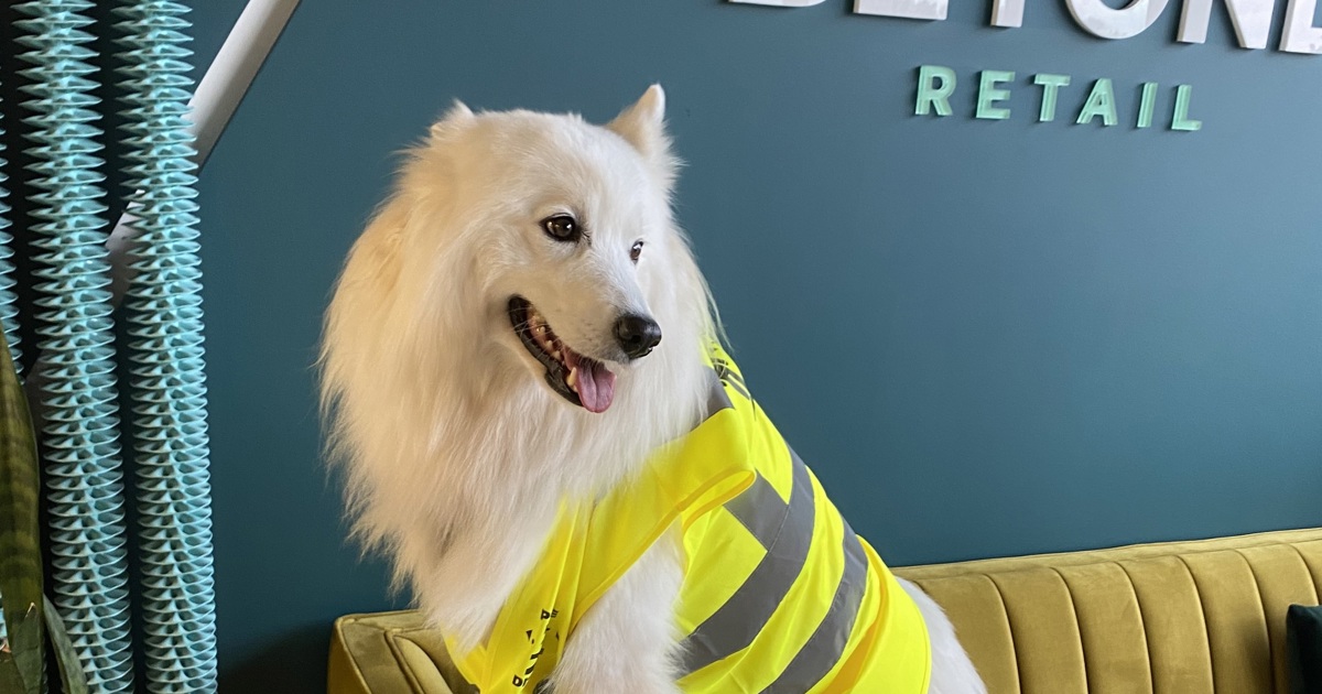 We're a Solent 250 company